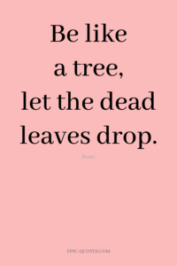 16 Positive Wise Words - epic-quotes.com