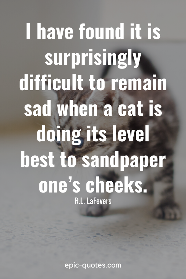 44 Cat Quotes - epic-quotes.com